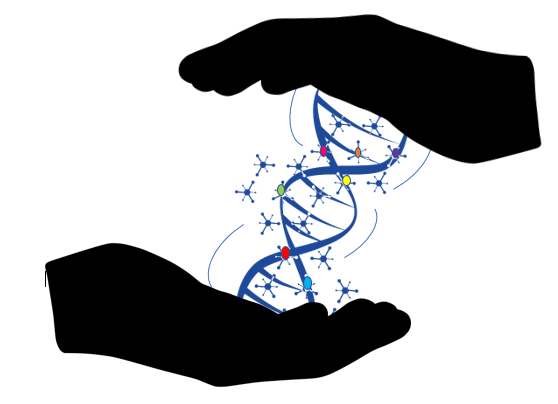 Just a “Touch” of DNA Gives Full Identification of Skin Cell Donor ...