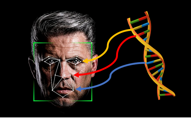Building a “Face” from DNA – ForensicBites