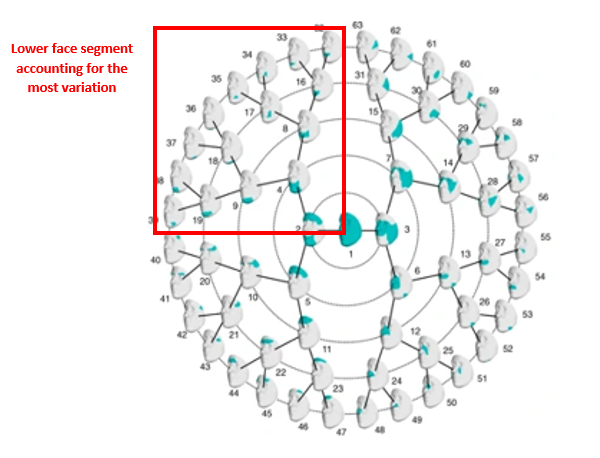 Building a “Face” from DNA – ForensicBites