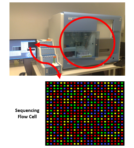 Back to the Future: Advances in DNA Analysis Using Massively Parallel ...