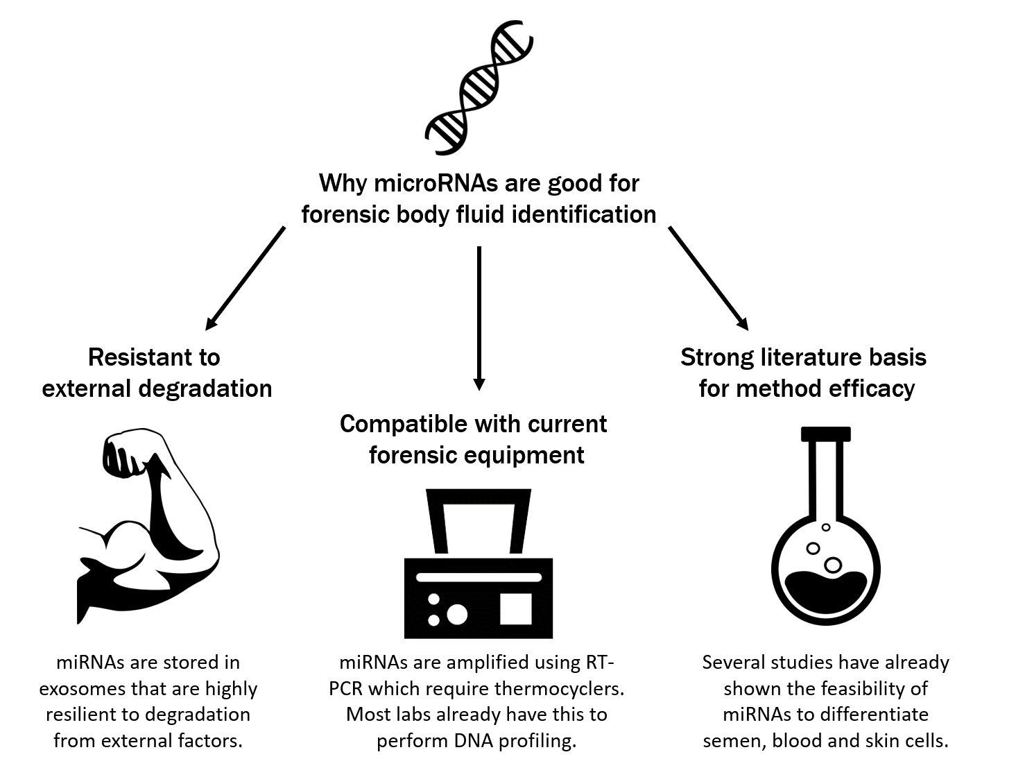 The smallest RNAs identify the most important body fluids in forensics ...