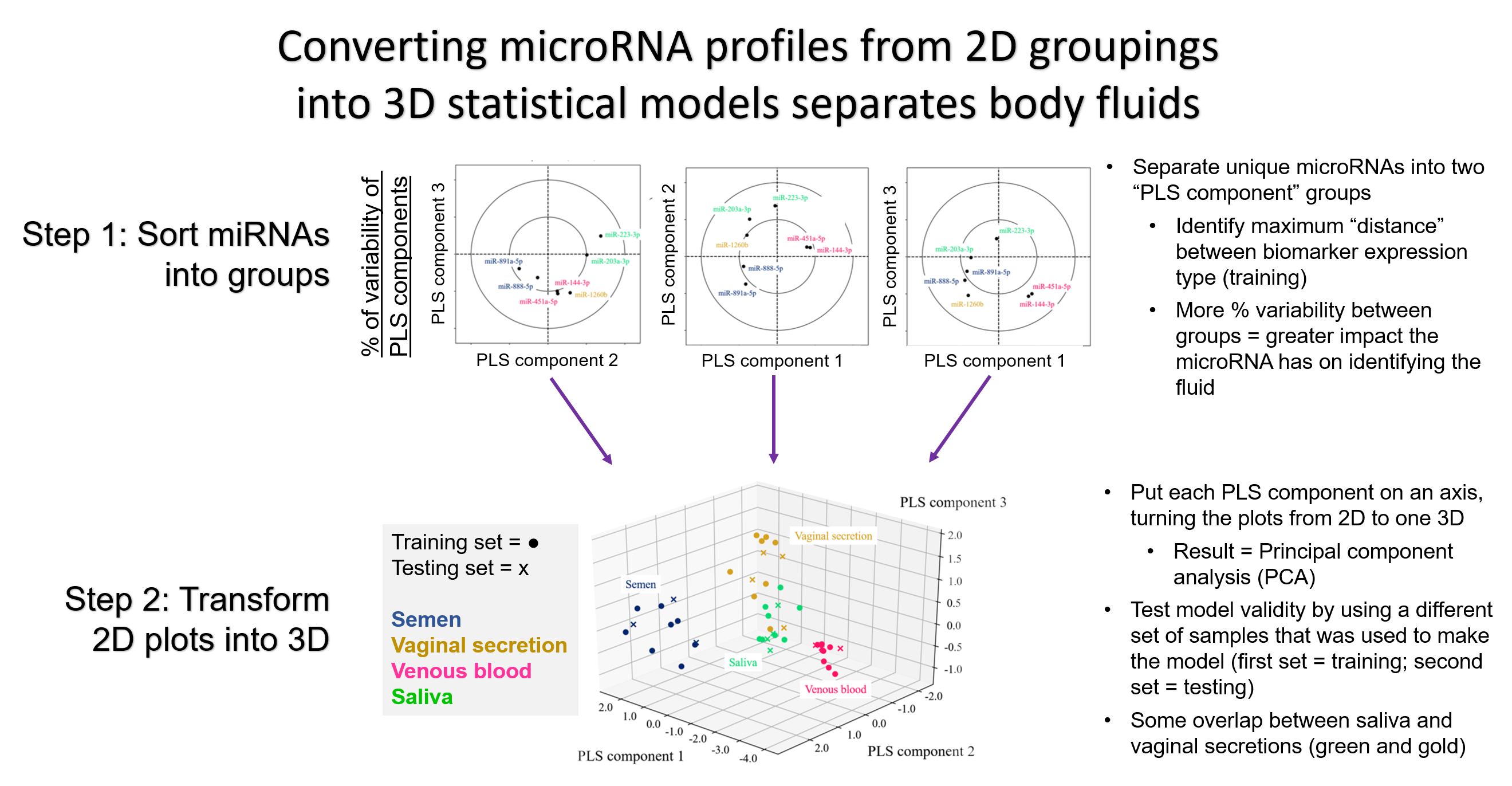 The smallest RNAs identify the most important body fluids in forensics ...