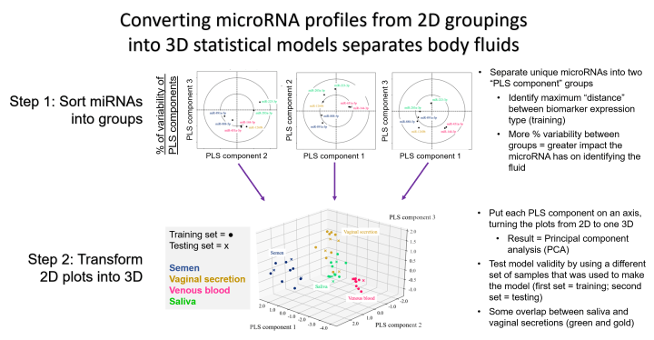 The smallest RNAs identify the most important body fluids in forensics ...
