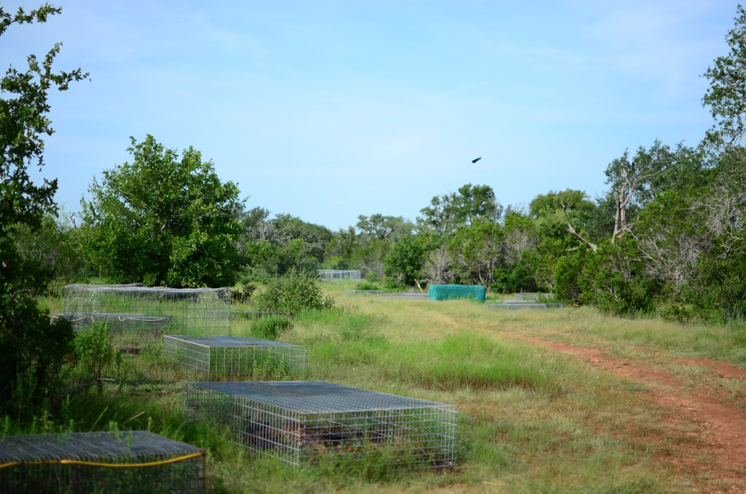The First Human Taphonomic Research Facility in Europe Opens Its Doors ...
