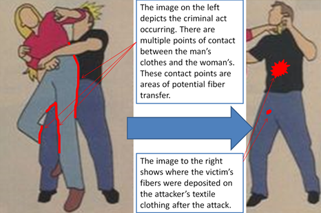 Weathering the storm: how weather conditions impact the persistence of ...