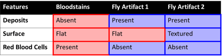 Fly Be-Gone: Discerning Bloodstains from Fly Stains with Electron ...
