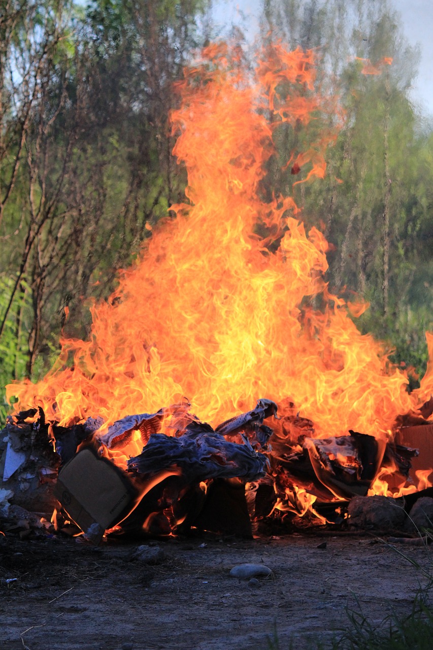 A new indicator of fire-related fatalities: hydrogen cyanide ...