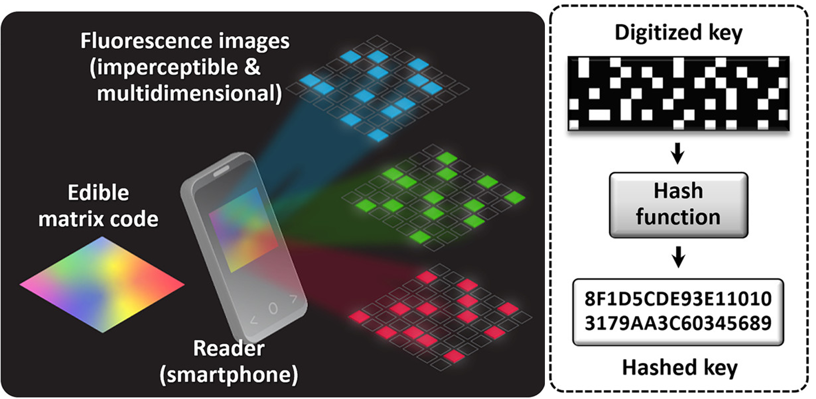 New research combats counterfeit medication with edible silk tags ...