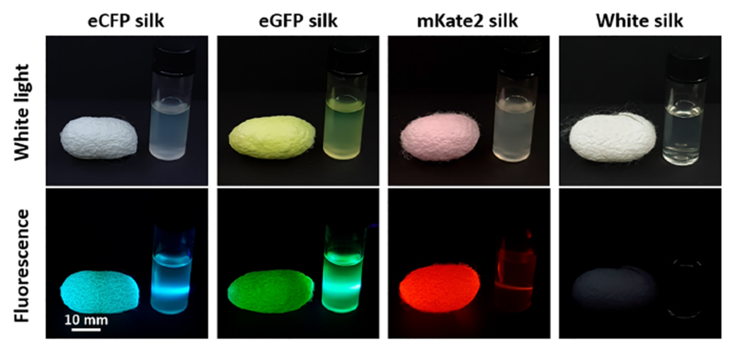 New research combats counterfeit medication with edible silk tags ...