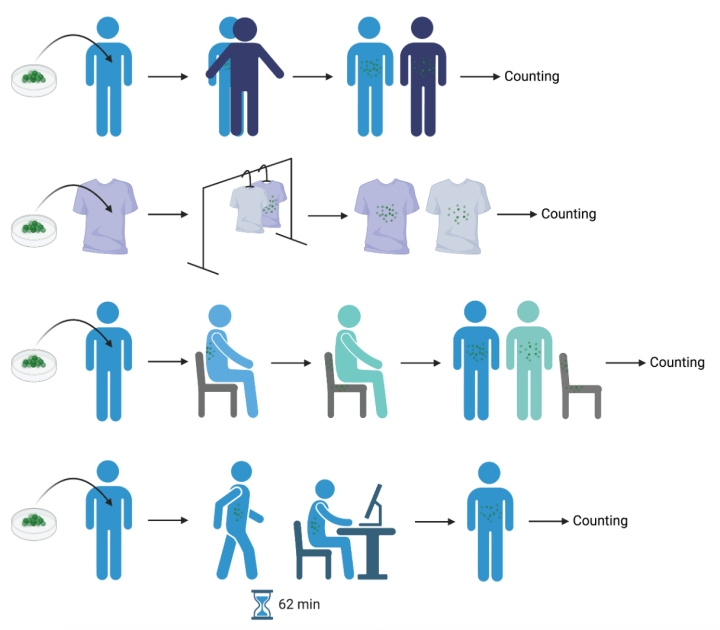 Developing a New Visual Model for Glass Particle Transfer – ForensicBites